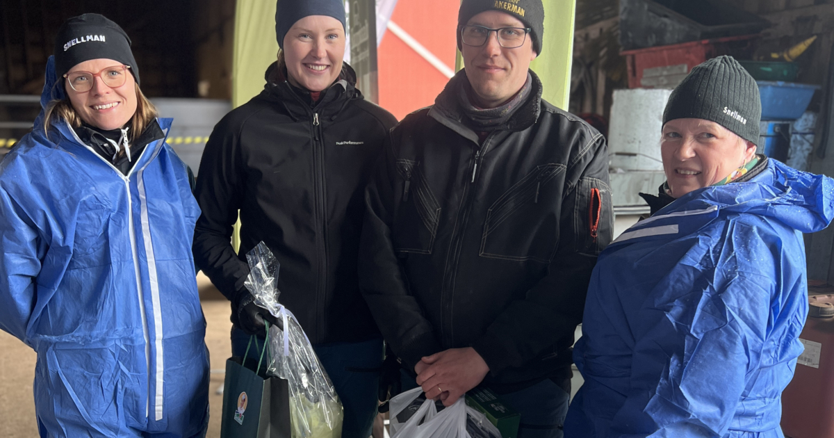 Lohikosket laajentavat hyvinvointi edellä: ”Täällä on niin hyvin ...